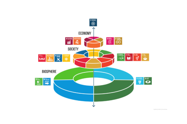 SDGsマッピングとは｜方法・事例・他のマッピングとの違いを解説